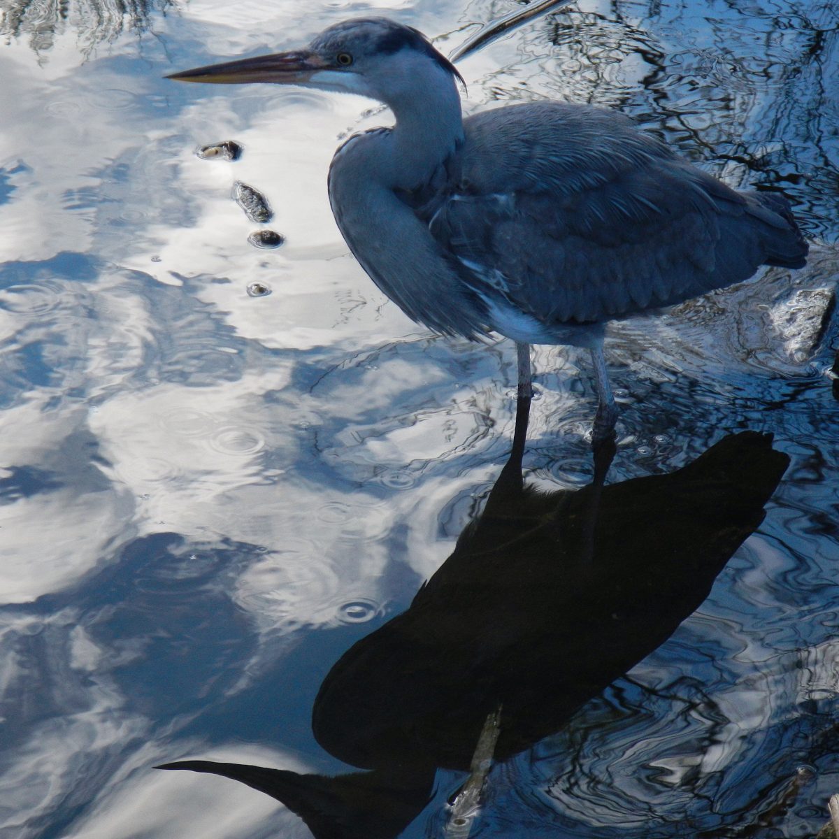 Photo Gallery - Stephen Batchelor