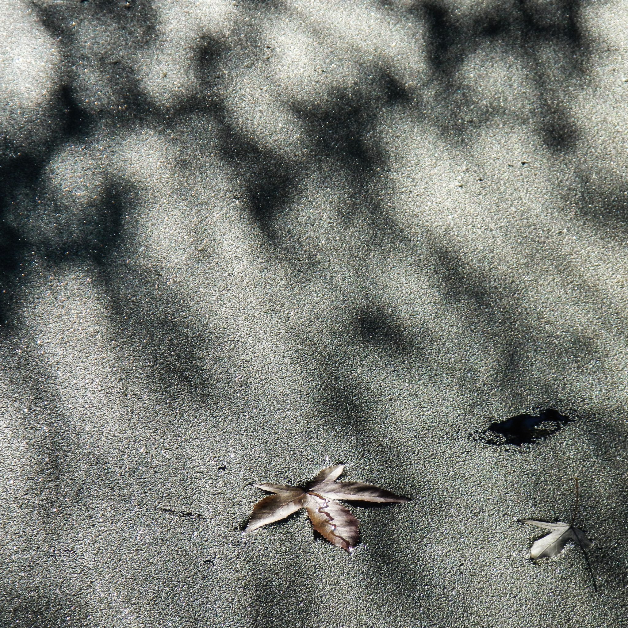 Photo Gallery - Stephen Batchelor