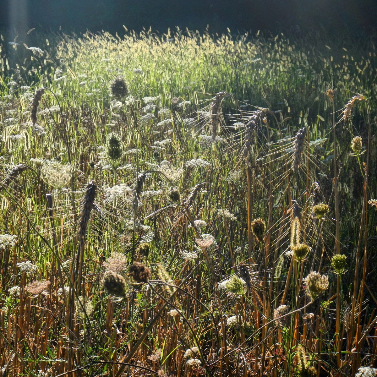 Photo Gallery - Stephen Batchelor